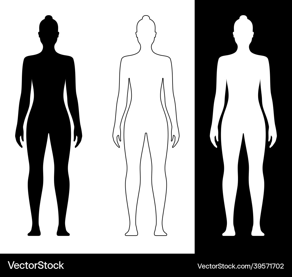 Female body shape isolated on a background Vector Image