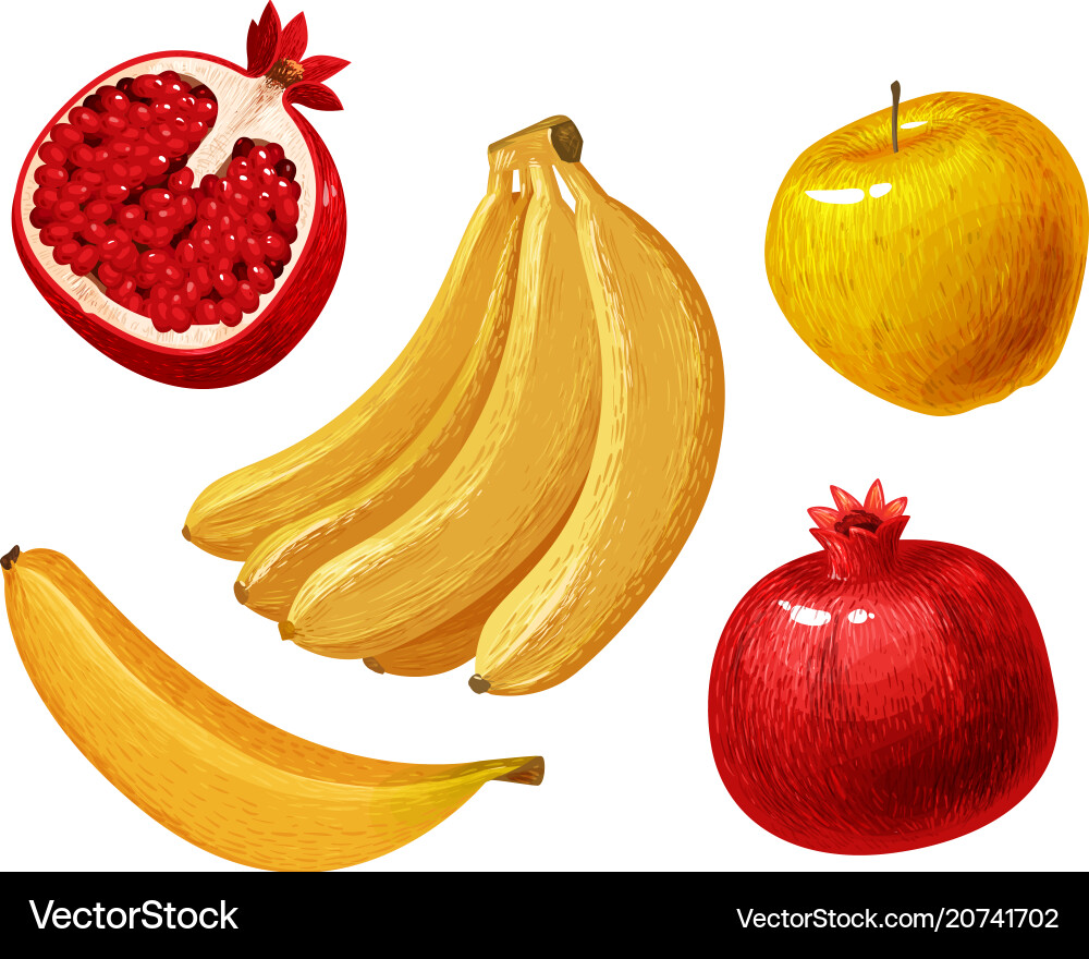 Fruits such as banana apple pomegranate Royalty Free Vector