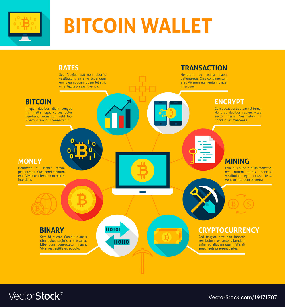 Bitcoin wallet infographics Royalty Free Vector Image Bitcoin wallet infographics Royalty Free Vector Image