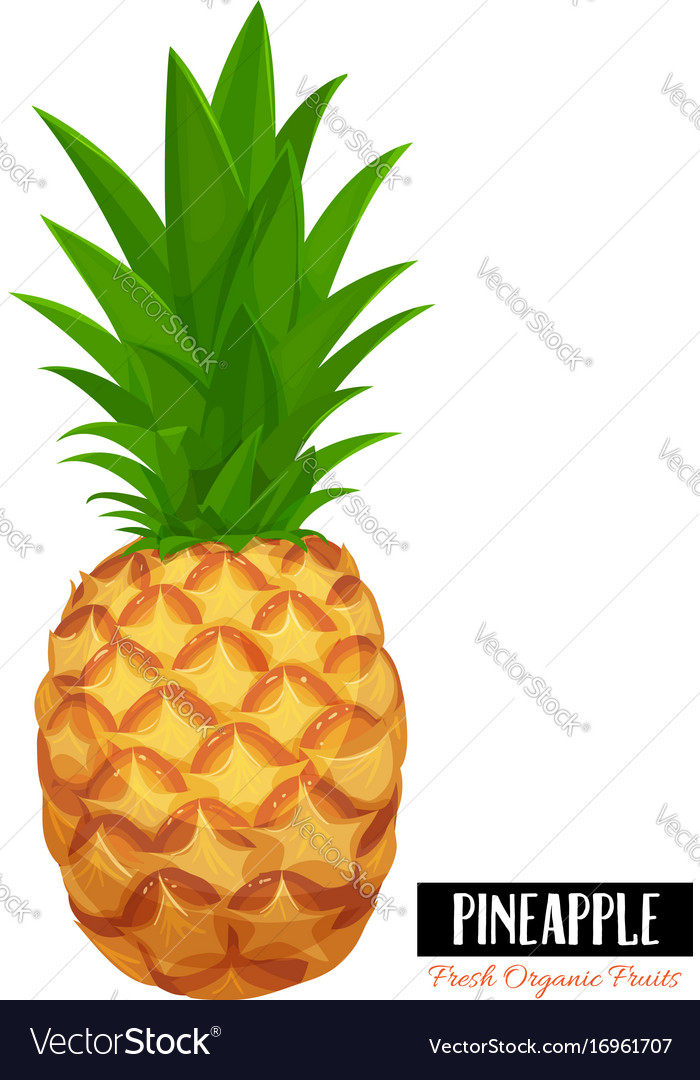 Pineapple Royalty Free Vector Image - VectorStock