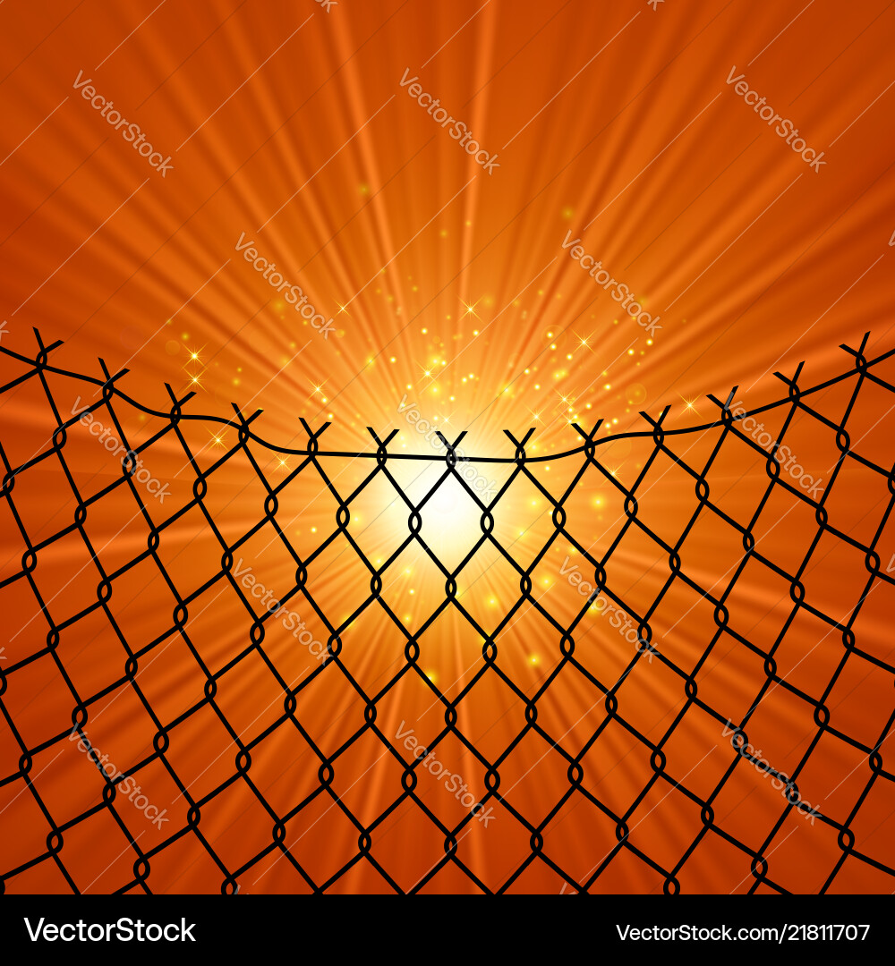 Sun and wire barb freedom concept peace day Vector Image