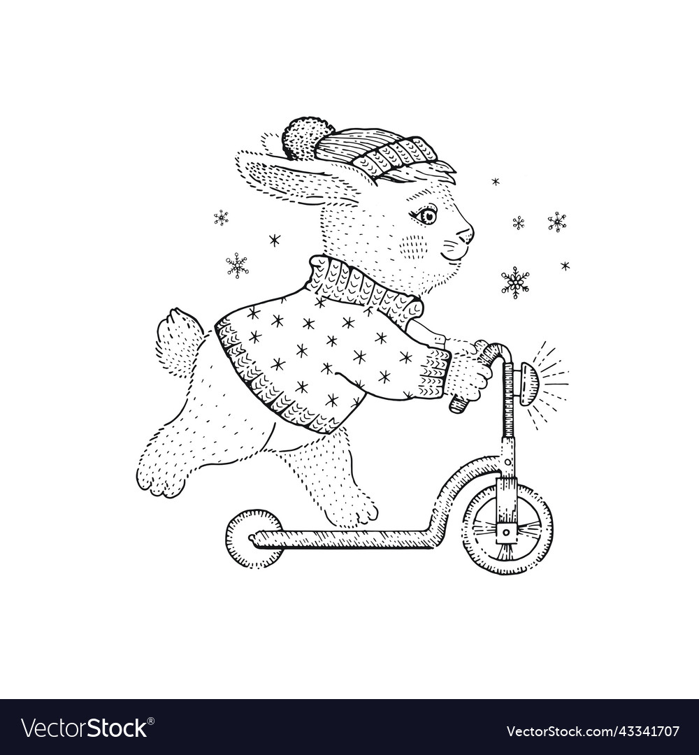 Winter christmas bunny coloring book rabbit Vector Image