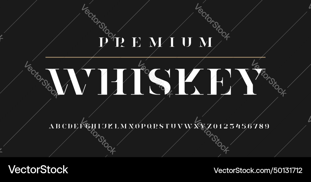 Beautiful elegant alphabet serif decorative font Vector Image