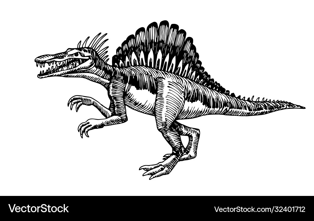 Reptile carnivorous dinosaur spinosaurus raptor Vector Image