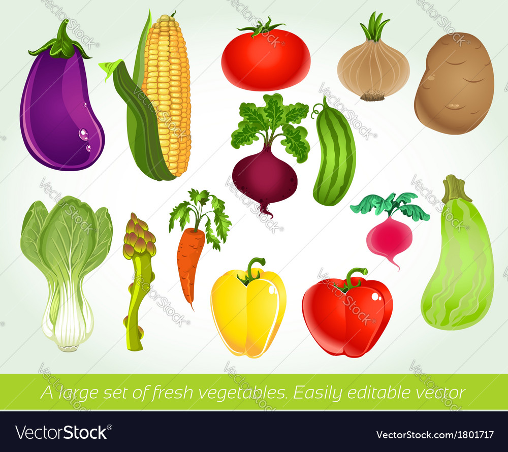 A large set of fresh vegetables Easily editable Vector Image
