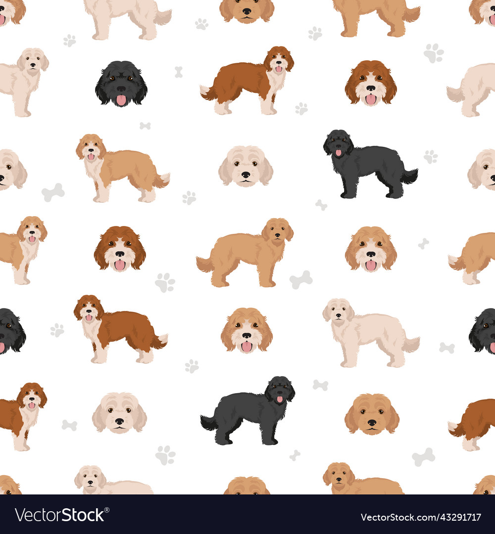 Cockapoo seamless pattern different poses coat Vector Image