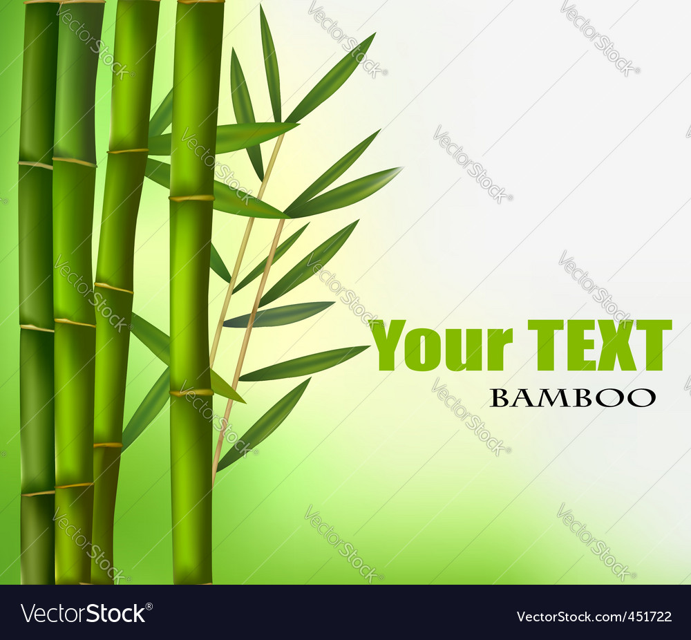 Bamboo background Royalty Free Vector Image - VectorStock