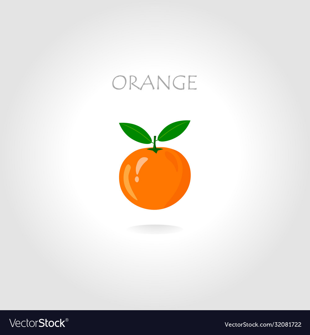 Orange Royalty Free Vector Image - VectorStock