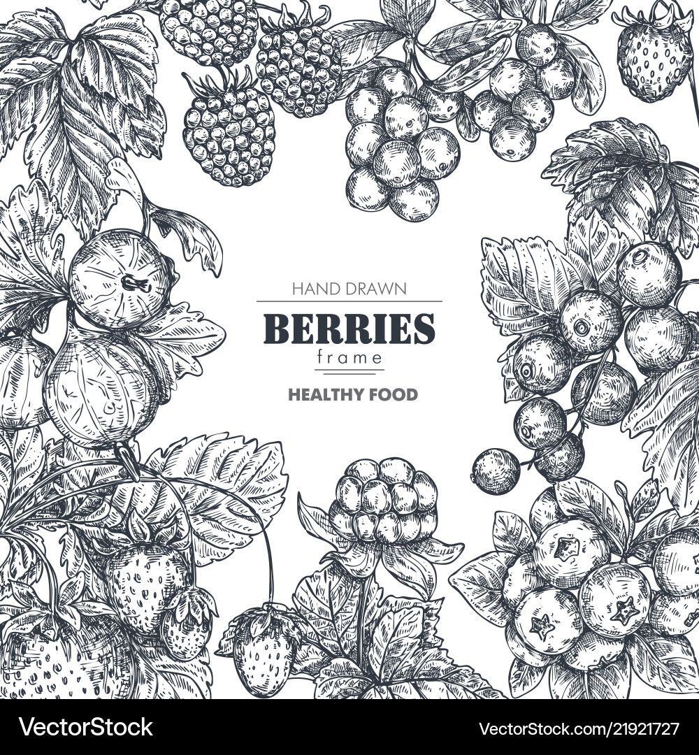 Frame with hand drawn berries in sketch Royalty Free Vector