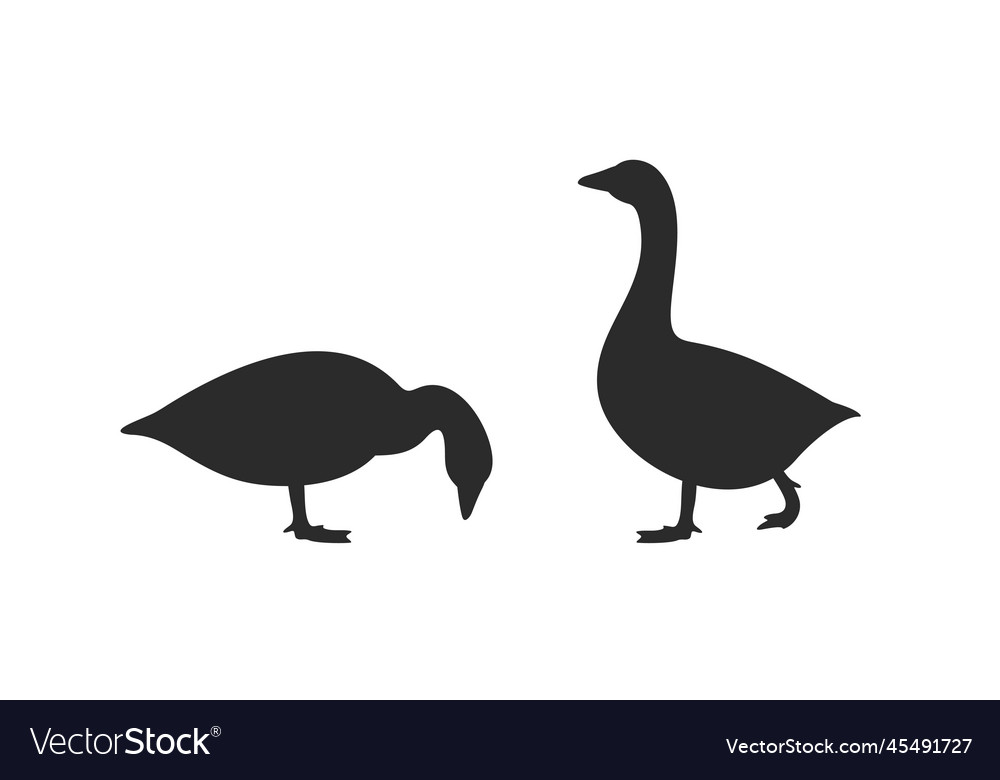 Goose Royalty Free Vector Image - VectorStock