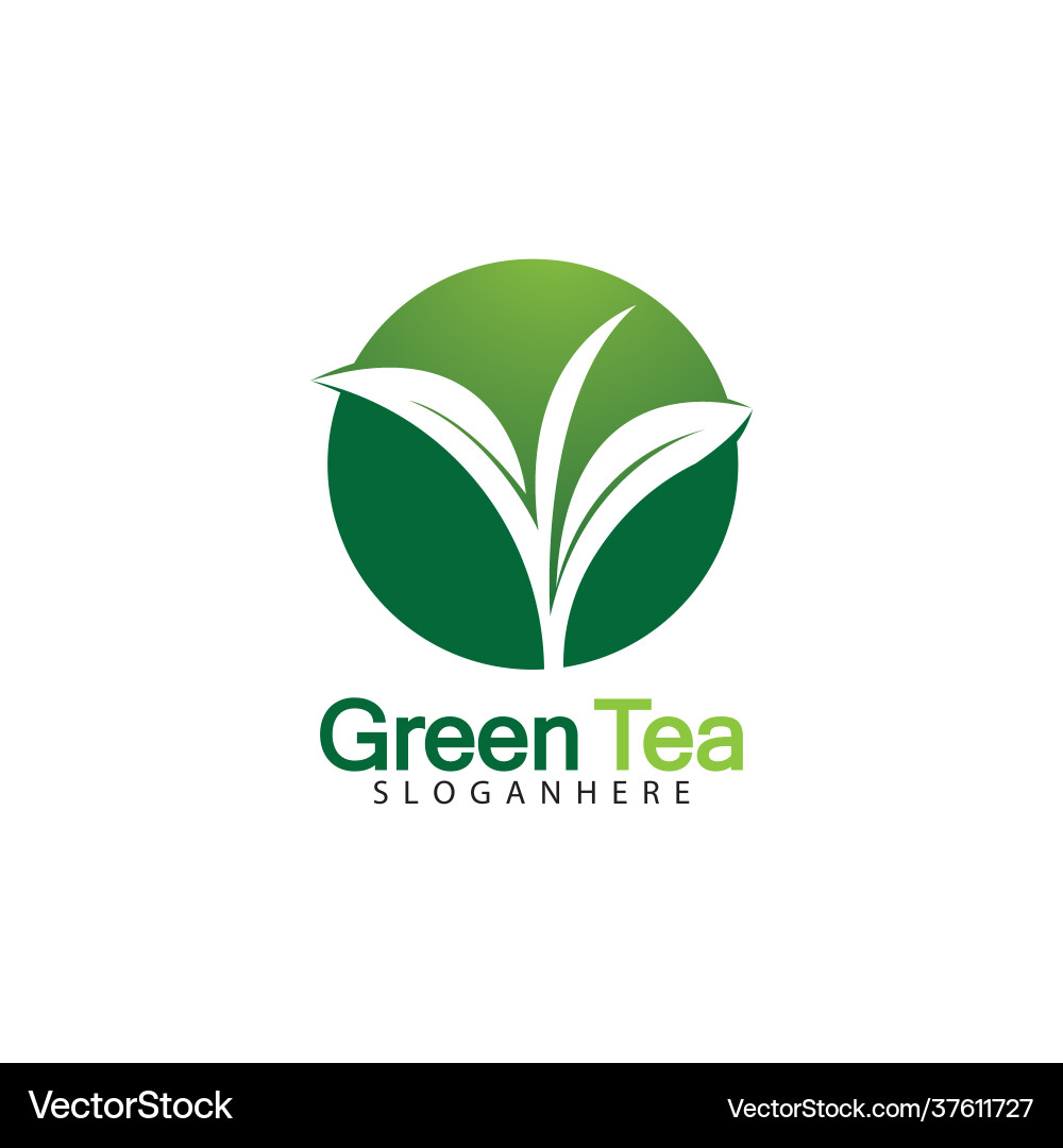 Green tea leaf logo icon design isolated on white Vector Image