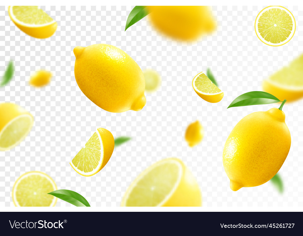Lemon citrus background flying with green Vector Image