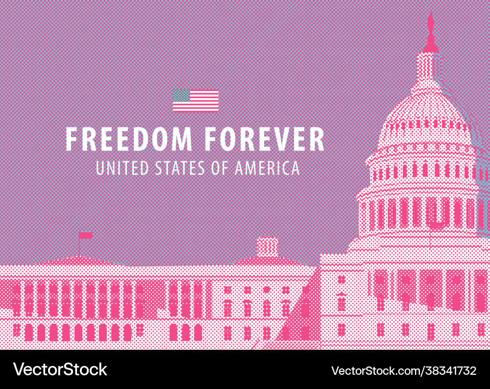 Banner with us capitol building in washington dc Vector Image