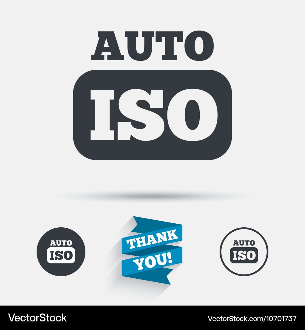 Iso auto photo camera sign icon settings symbol Vector Image