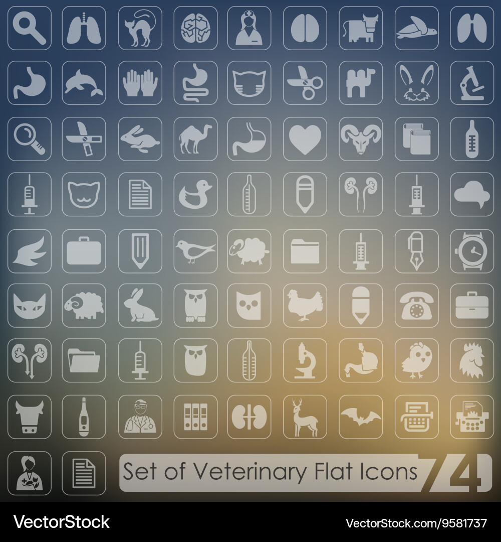 Set of veterinary icons Royalty Free Vector Image