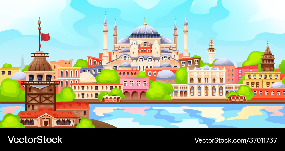 View istanbul and its buildings landmarks Vector Image