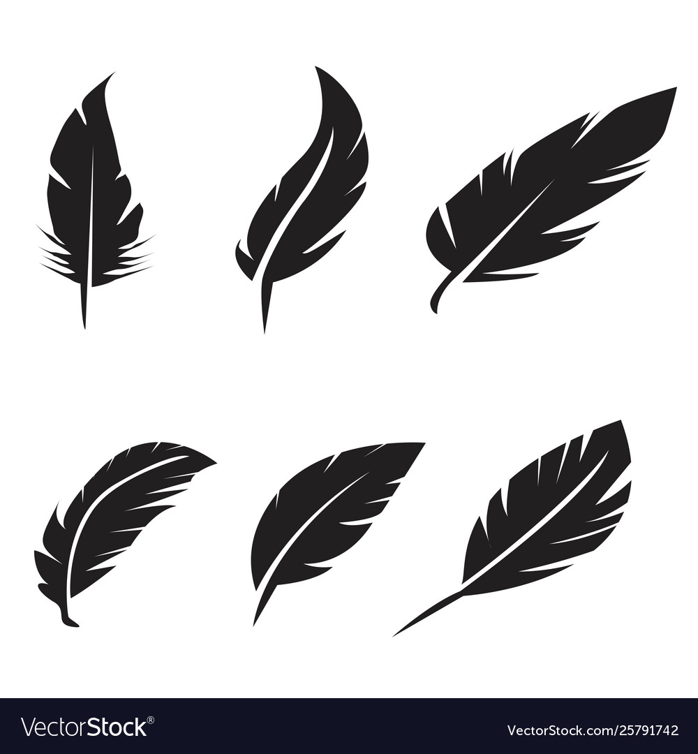 Black feather icons set on white background Vector Image