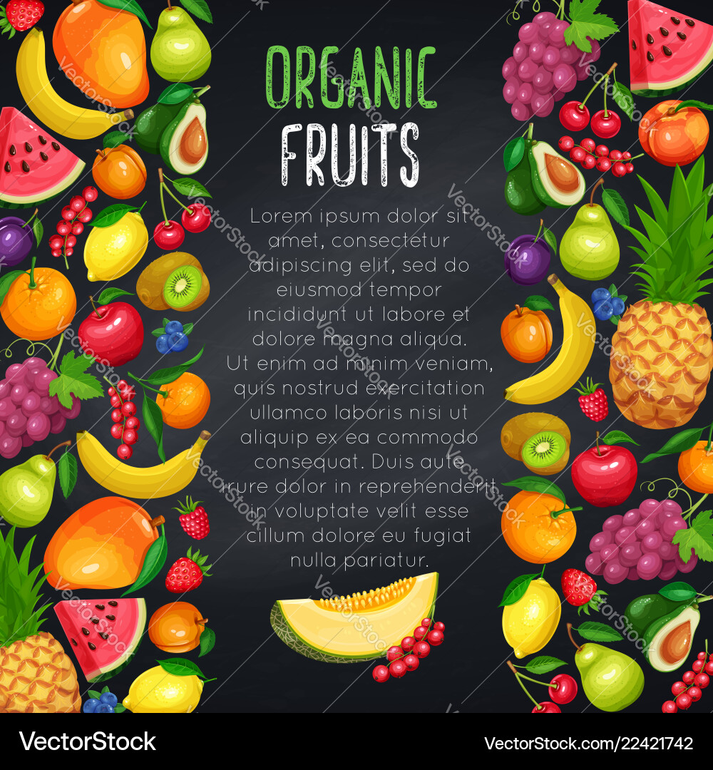 Fruits and berryes design page Royalty Free Vector Image