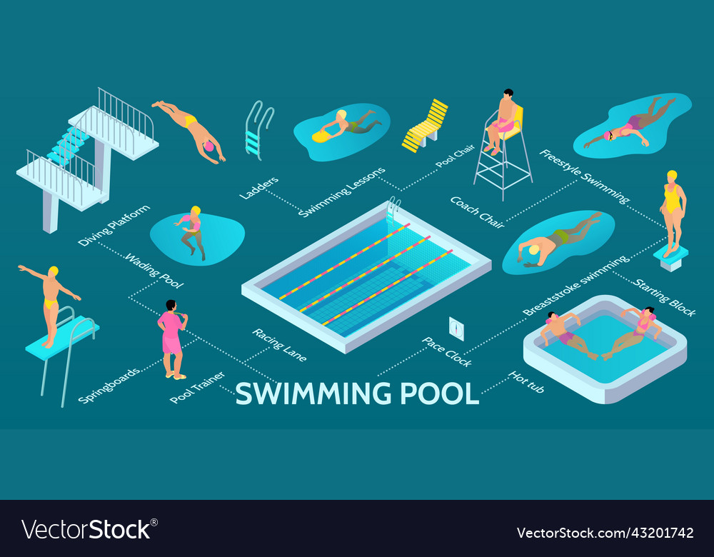 Isometric swimming pool infographic Royalty Free Vector