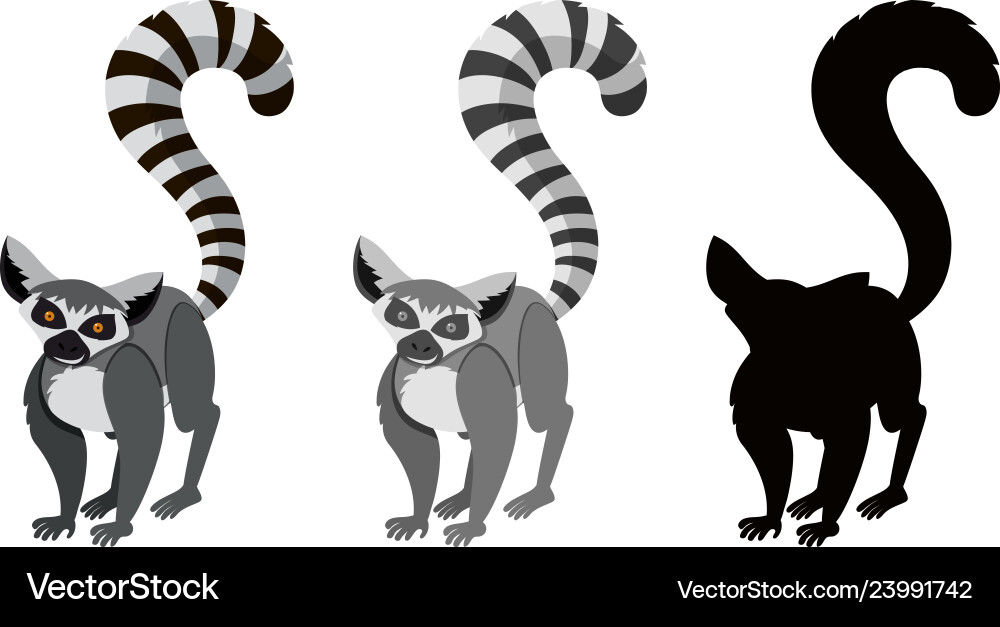 Set of lemur character Royalty Free Vector Image