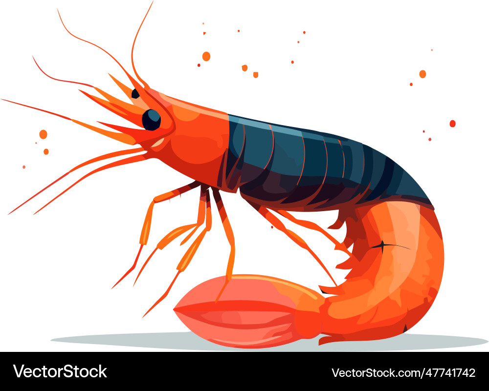 Shrimp cocktail drawing on a white background Vector Image