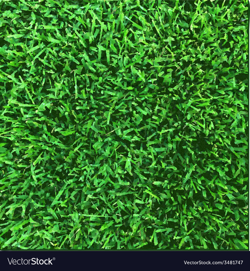 Grass texture Royalty Free Vector Image - VectorStock