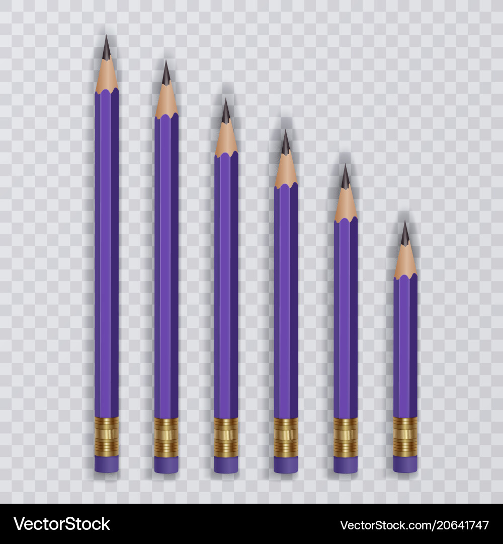 Set of pencils with eraser different size Vector Image