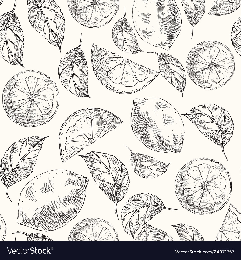 Lemons hand drawn sketch seamless pattern Vector Image