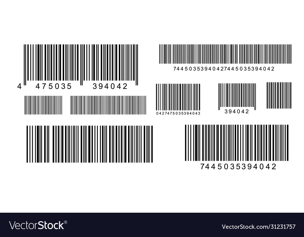 Qr codes barcodes Royalty Free Vector Image - VectorStock