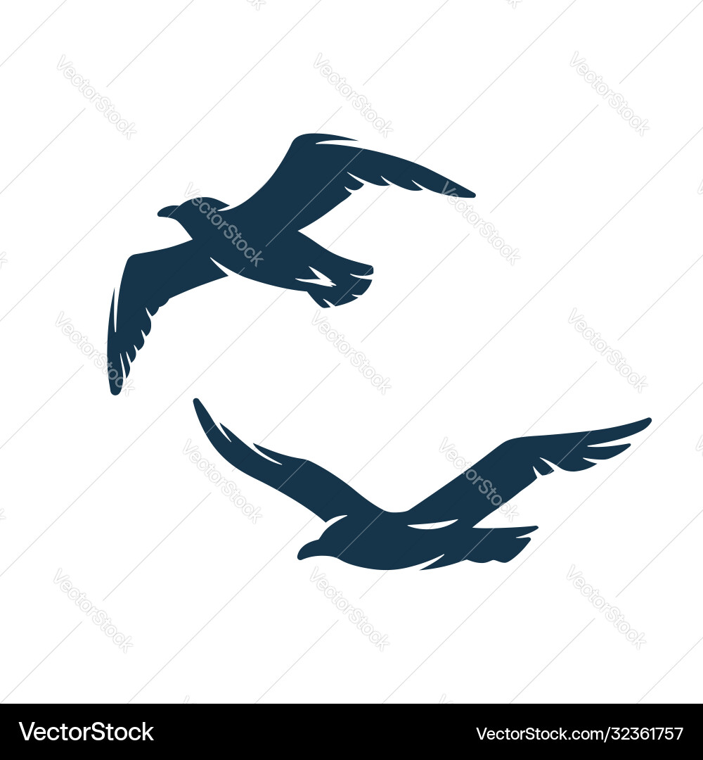 Seagull in sky for nautical marine design Vector Image