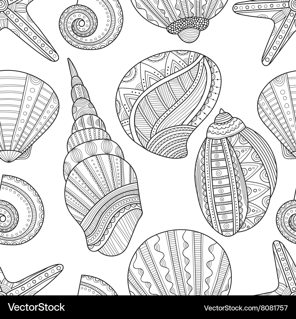 Shells Black And White