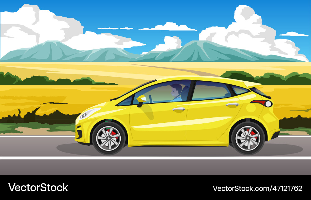 Male rider inside hatchback car Royalty Free Vector Image