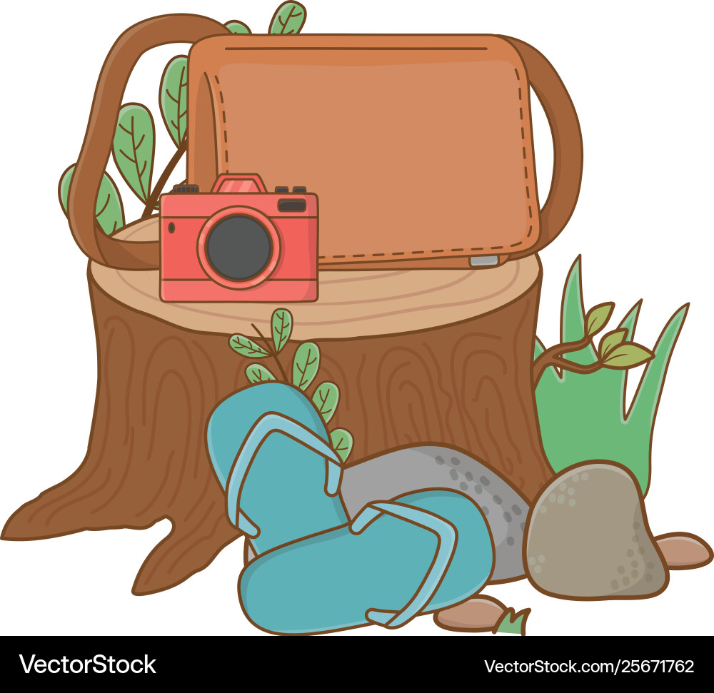 Summer vacations holidays time cartoon Royalty Free Vector