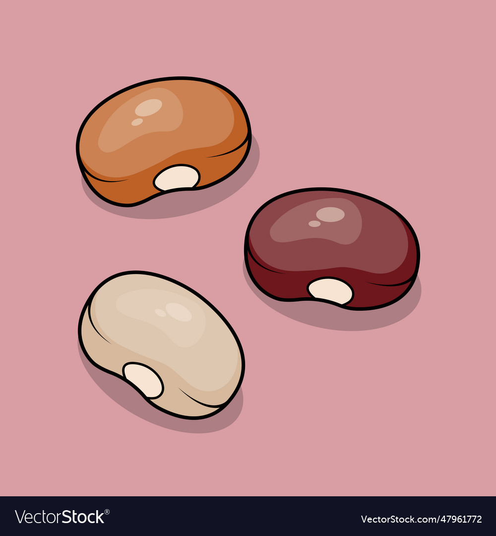 Beans Royalty Free Vector Image - VectorStock