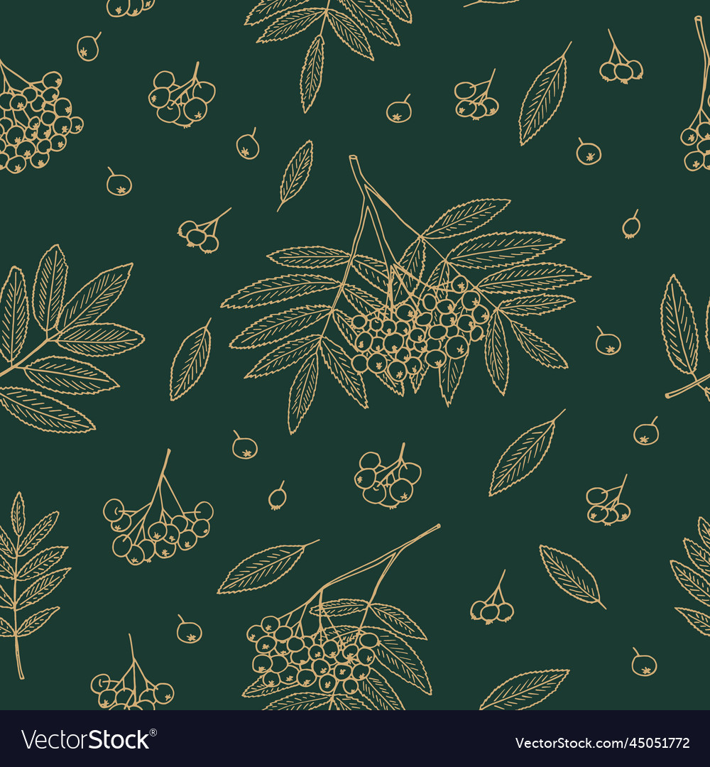 Rowan berries bunches and leaves seamless pattern Vector Image
