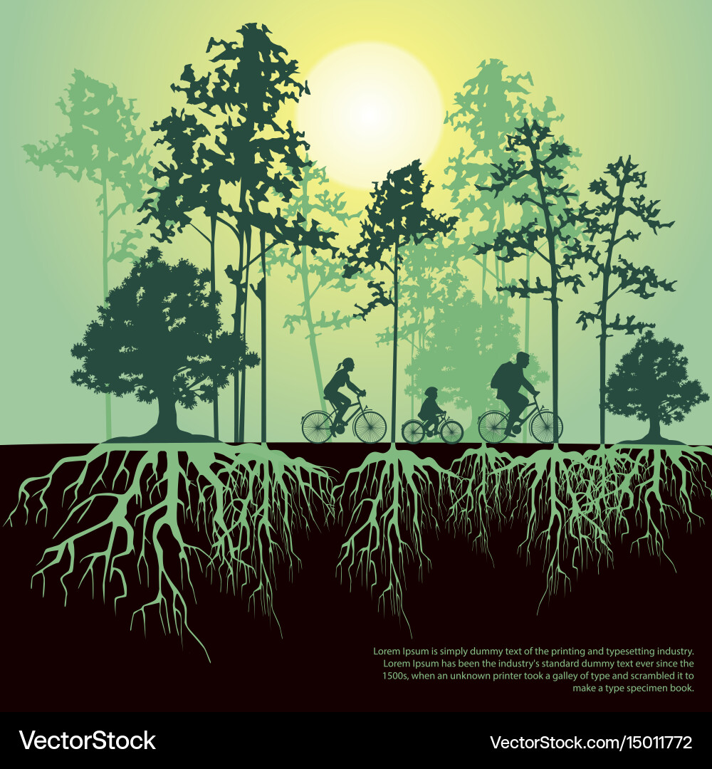 Split trees and roots family riding bicycles Vector Image