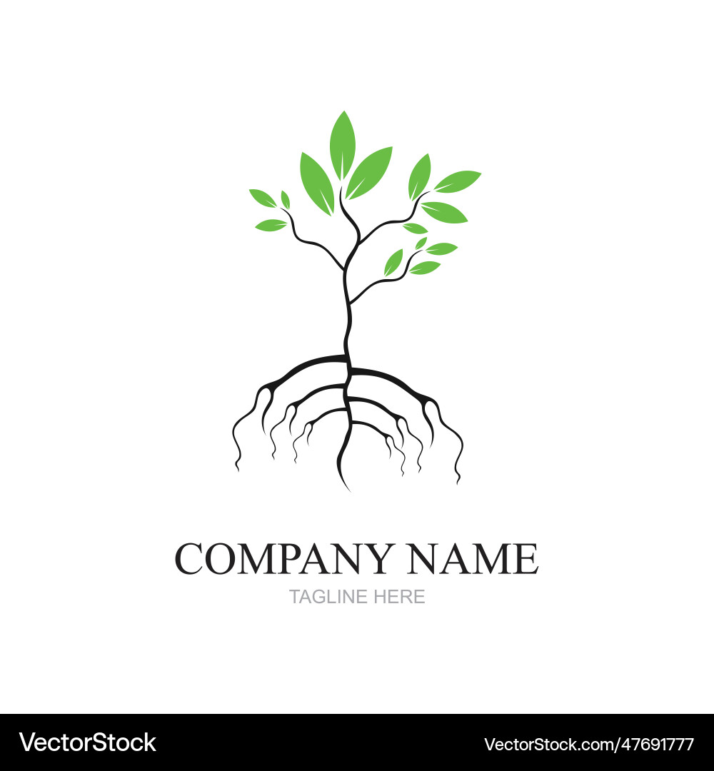 Mangrove trees and forest ecology logo Royalty Free Vector