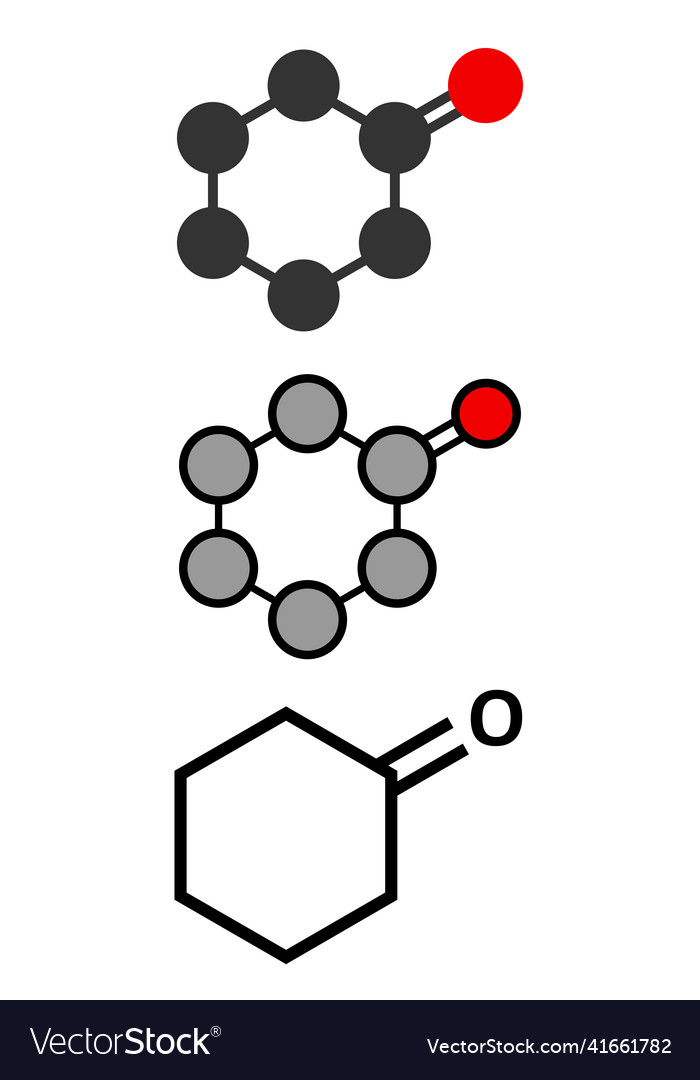 Cyclohexanone organic solvent molecule precursor Vector Image