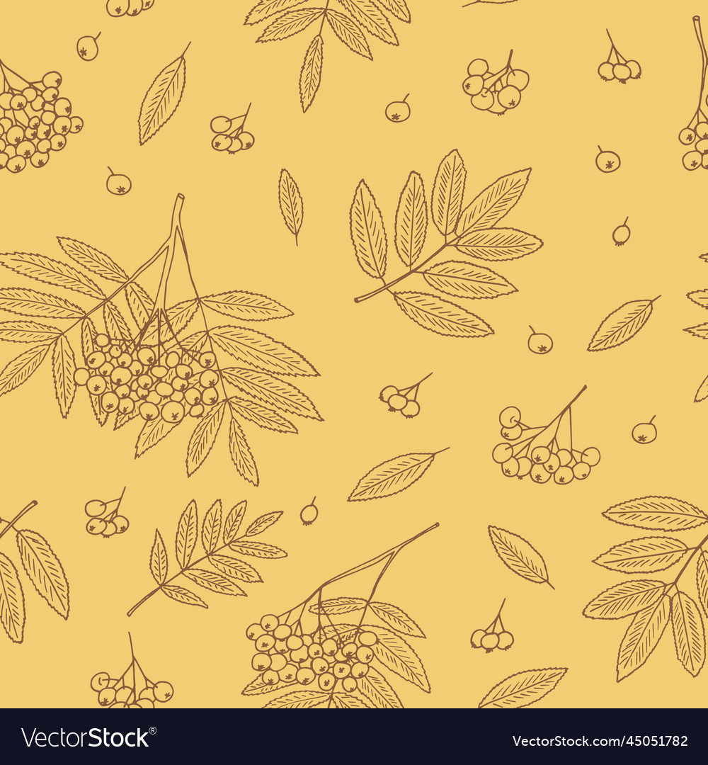 Rowan berries bunches and leaves seamless pattern Vector Image