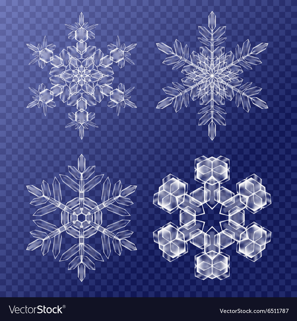 Decorative snowflakes set background pattern Vector Image