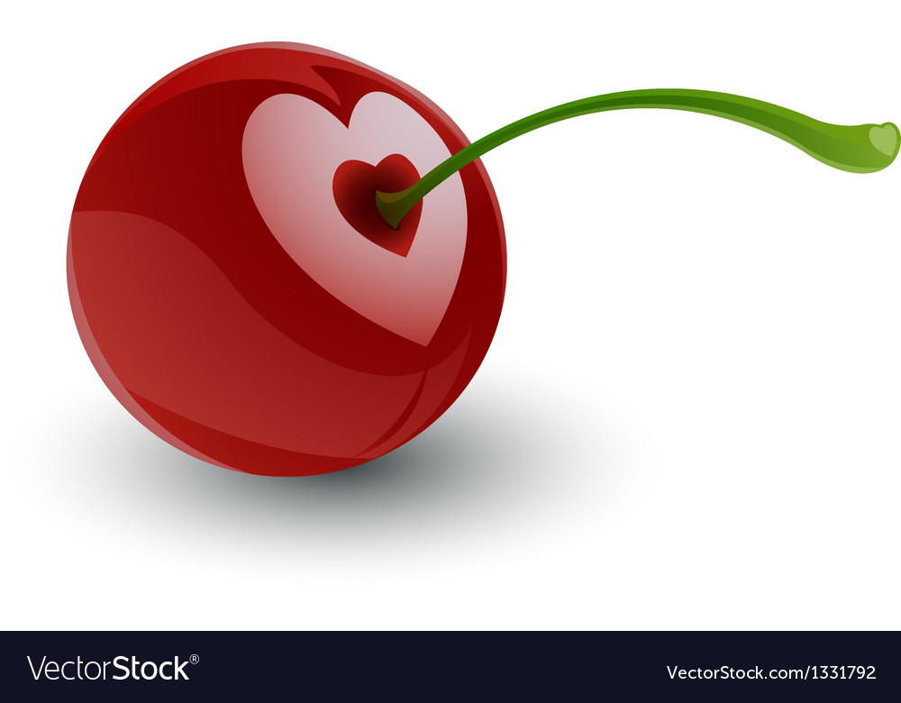 Cherry love Royalty Free Vector Image - VectorStock