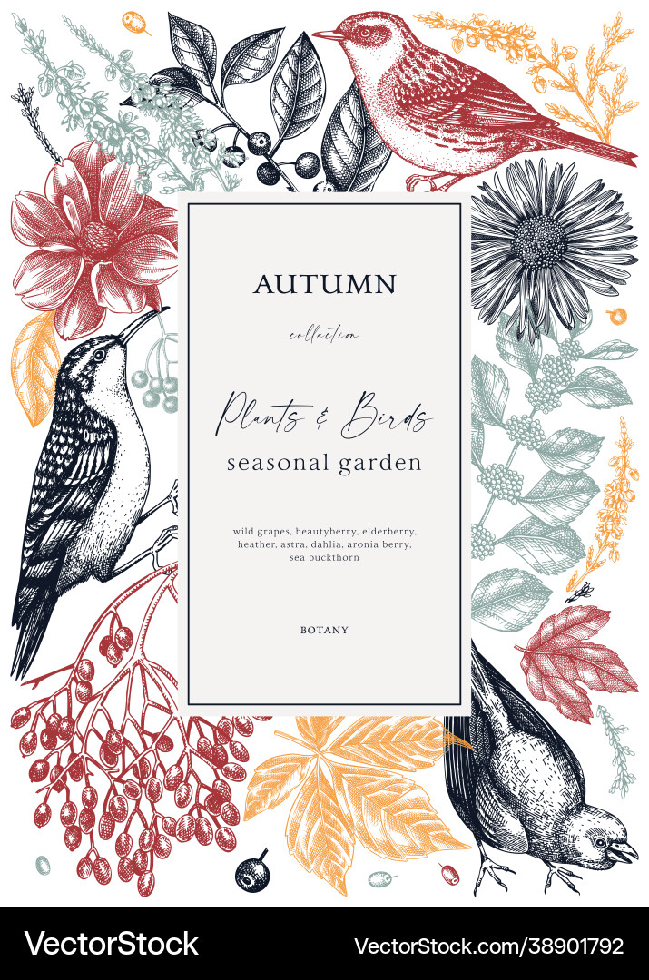 Hand-sketched autumn frame design with birds Vector Image