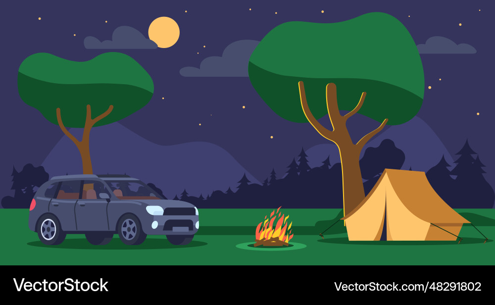 Summer camping in woods at night overlooking Vector Image
