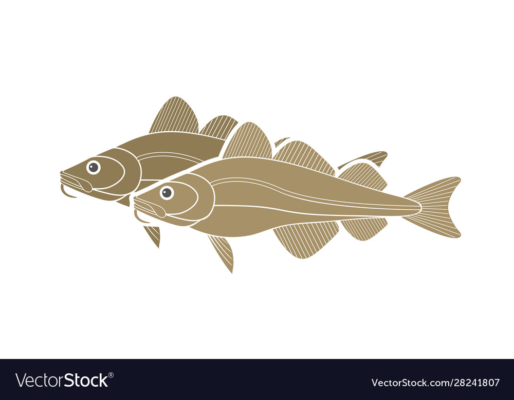 Cod Royalty Free Vector Image - VectorStock