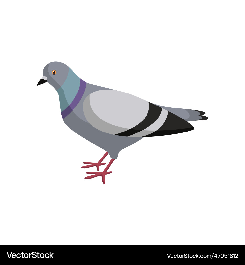 Cute colorful dove on white background Royalty Free Vector