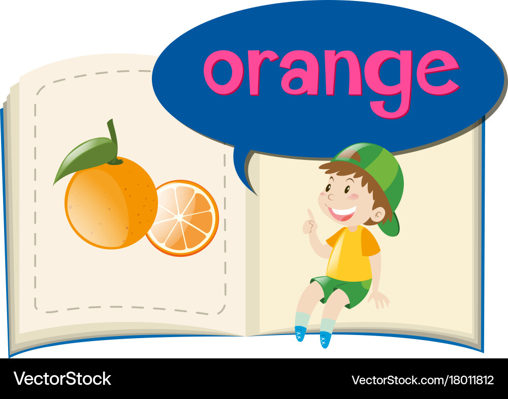 Fresh orange on children book Royalty Free Vector Image