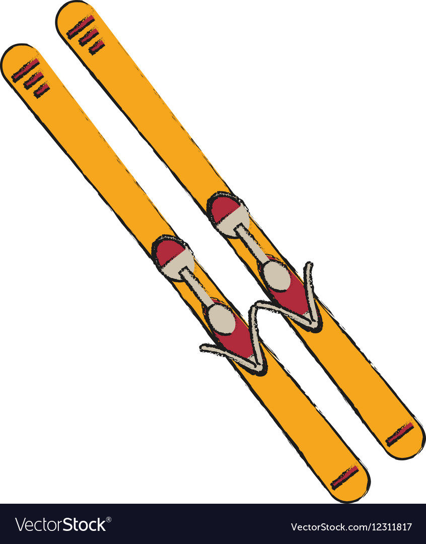 Isolated skis design Royalty Free Vector Image