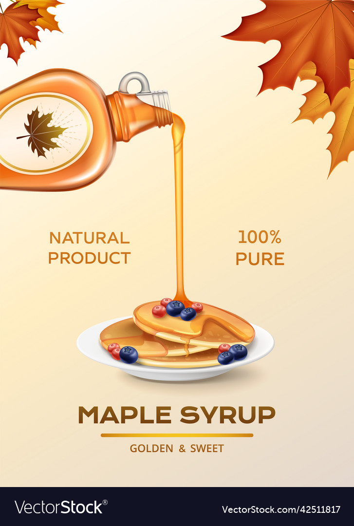Maple syrup composition Royalty Free Vector Image