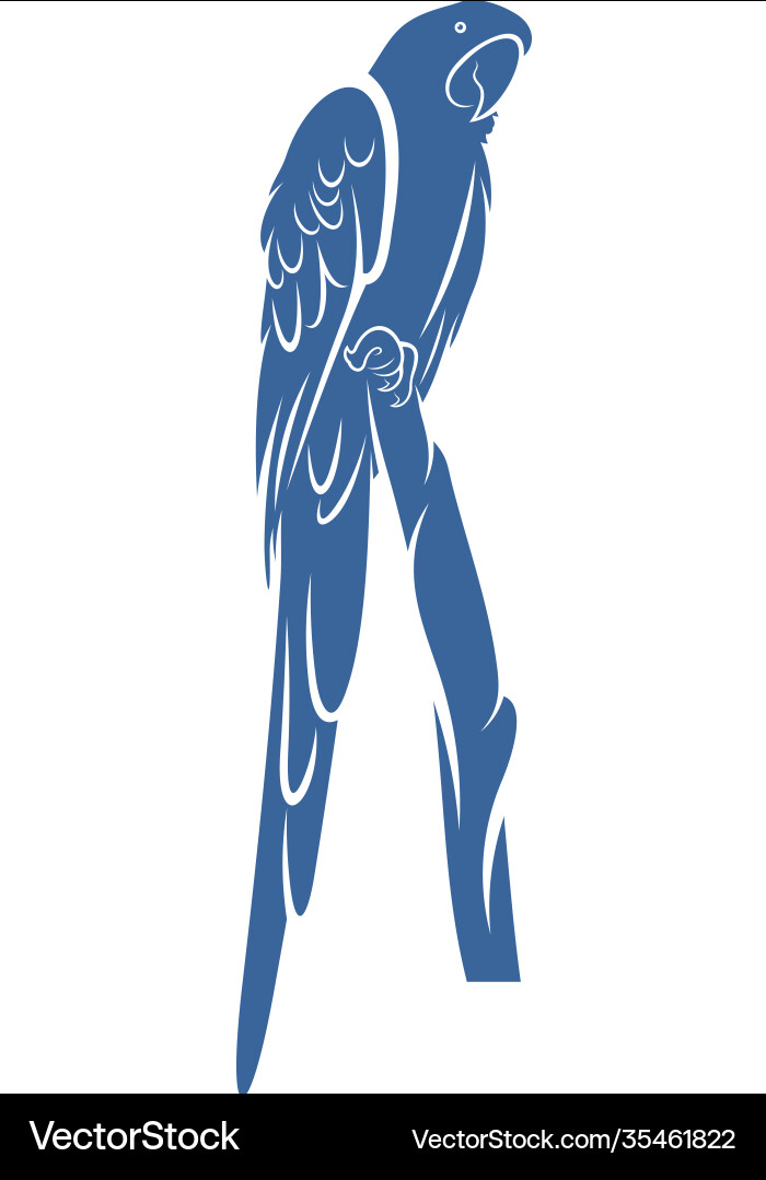 Cockatoo bird design creative parrot logo Vector Image