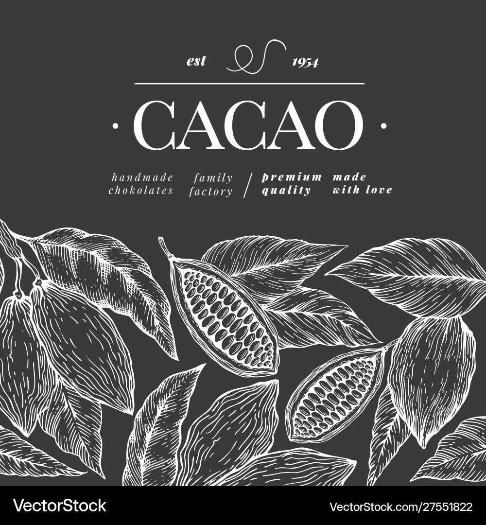 Cocoa banner template hand drawn on chalk board Vector Image